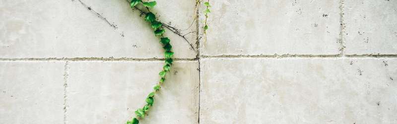 Practice Areas | Williams & Strohm, LLC